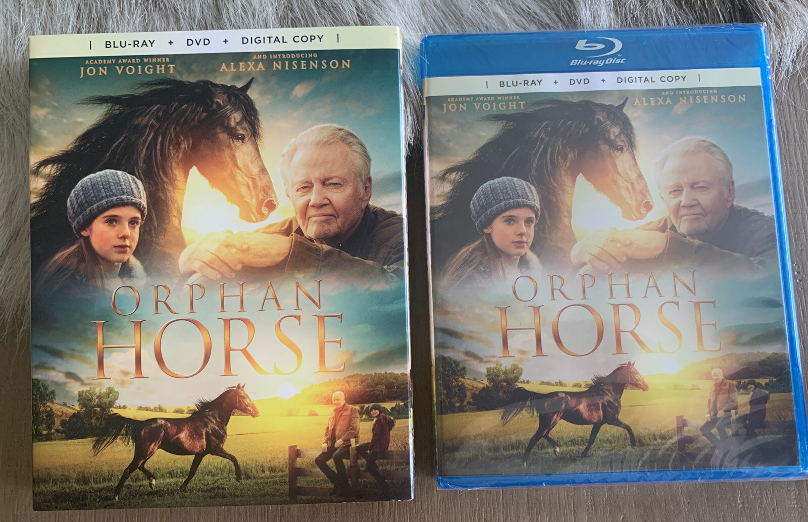Orphan Horse Blu Ray DVD Jon Voight Slipcover Movie | eBay