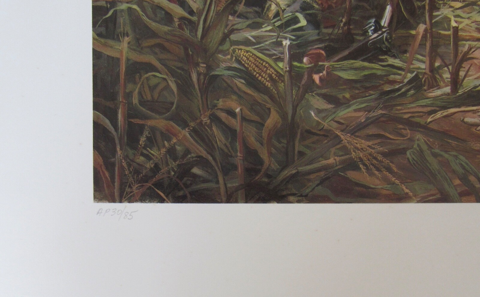 Don Troiani - LONE STAR - A/P - Civil War Print - UNFRAMED - MINT | eBay