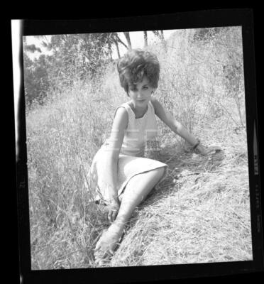 1967 Marya Carter Movie Actress Model by Harry Langdon Negative w ...