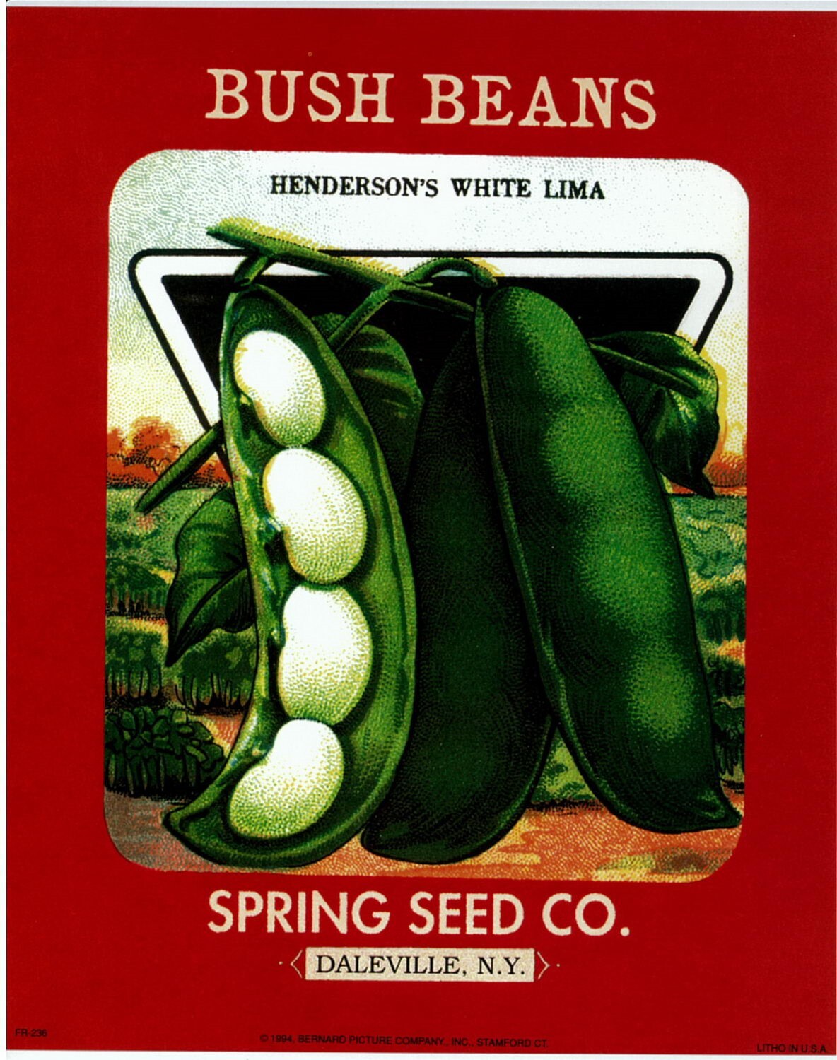 (8 x 10) Art Print FR236 Bernard Picture Co. Spring Seed Co. Daleville ...