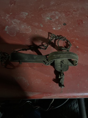 primitive antiques Trap Old Antique Wall Hanging Man Cave | eBay