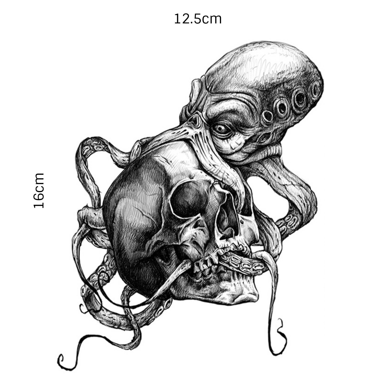 Octopus Skull Drawings