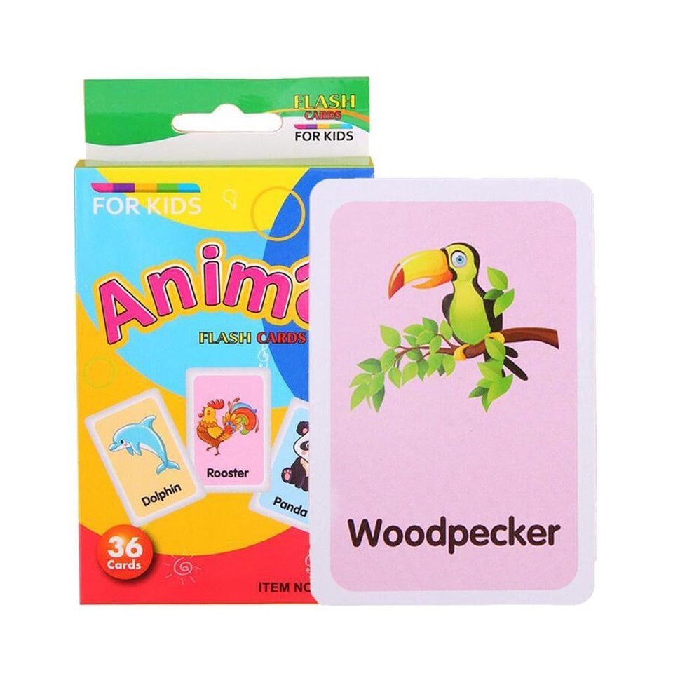 Preschool First Words Flash Cards 36 Pieces/set Pocket Card | eBay UK