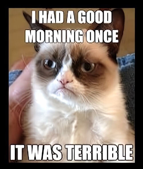 Grump Memes Scared Cat