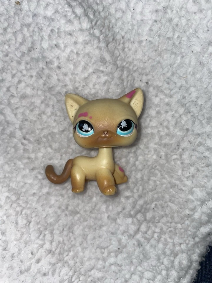 Littlest Pet Shop 816 LPS Authentic Shorthair Tan Paint Splatter Kitten ...