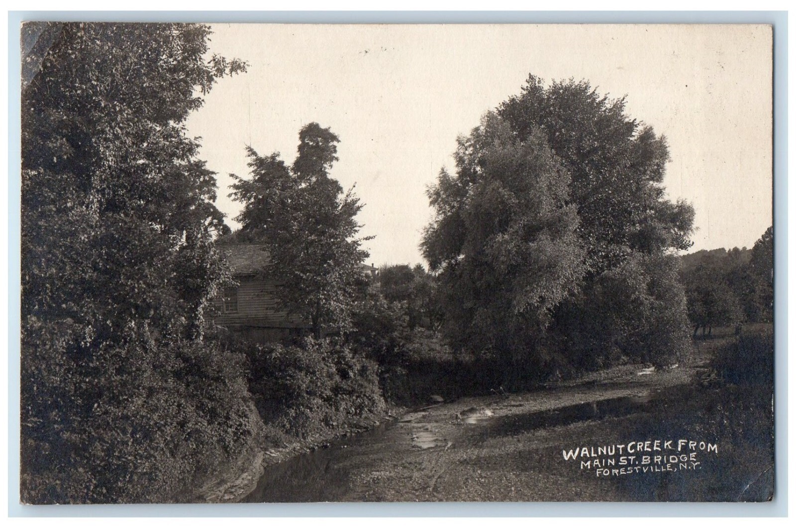 1913 Walnut Creek From Main St. Bridge Forestville NY RPPC Photo ...