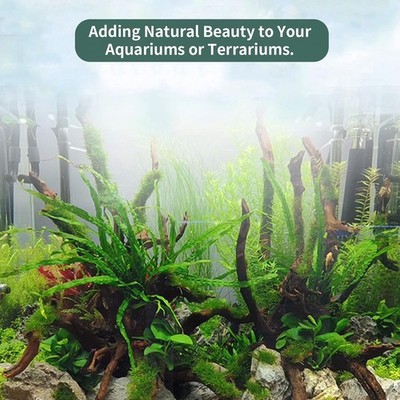 5 Pcs Driftwood Branches Aquarium Wood Decoration Natural Fish Tank ...