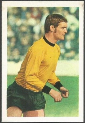 FKS 1970/71 SOCCER STARS GALA COLLECTION-#317-WOLVES-HUGH CURRAN | eBay UK