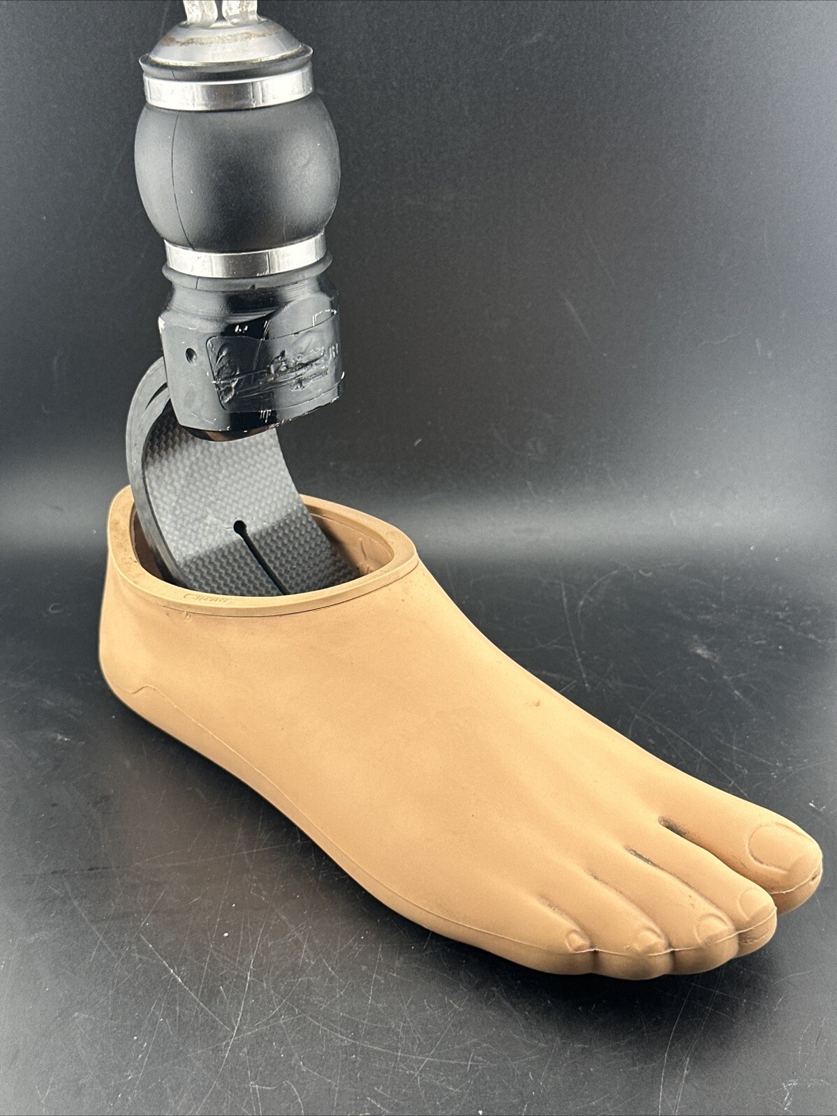 Ossur Pro-flex Proflex Pro Flex Torsion Prosthetic Foot Right Size 26 ...