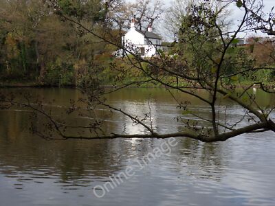 Photo 6x4 Tree View Bebington Mere side property reflected in Raby Mere ...