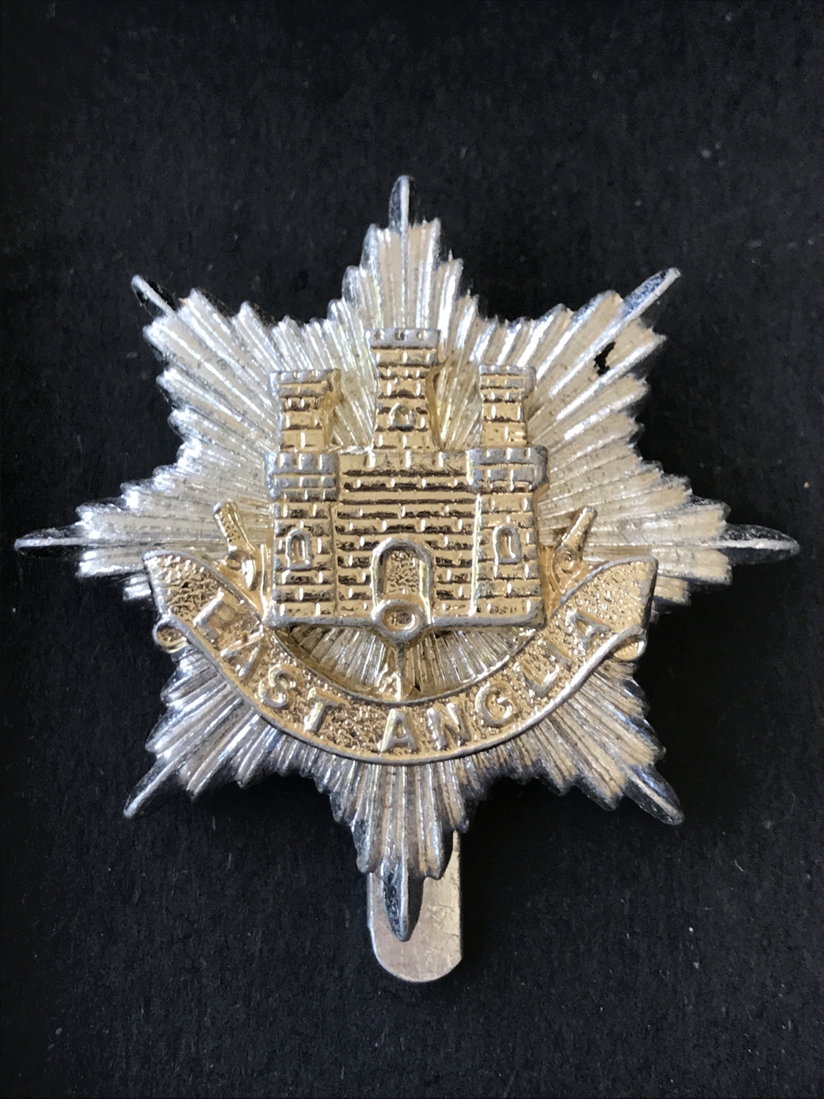 East Anglia Regiment British Army Anodised Aluminium Stay bright Cap ...