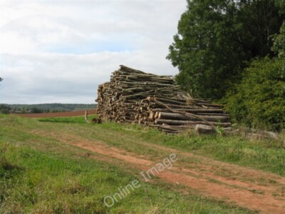 Photo 6x4 Timber Pile On The Track To Glasshampton Noutard's Green ...