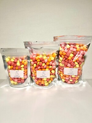 Freeze Dried Candy Mini Asteroid Burst Original Flavor *Pick Size* Made ...