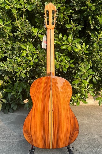 Aiersi 39 Inch Solid Spruce Top Santos Back and Side Spanish Classical ...
