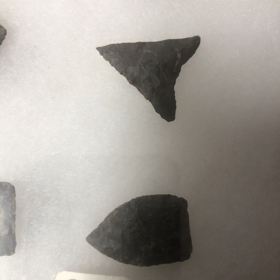 Lot Of 28 Arrowheads/Triangle Points Native American Genuine Indian Artifacts | eBay