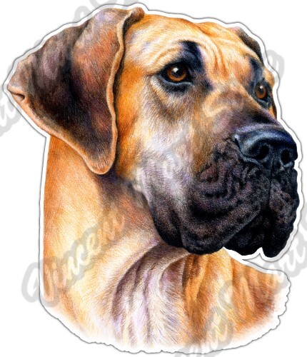 Great Dane Face Dog Pet Breed Animal Car Bumper Vinyl Sticker Decal 4 ...