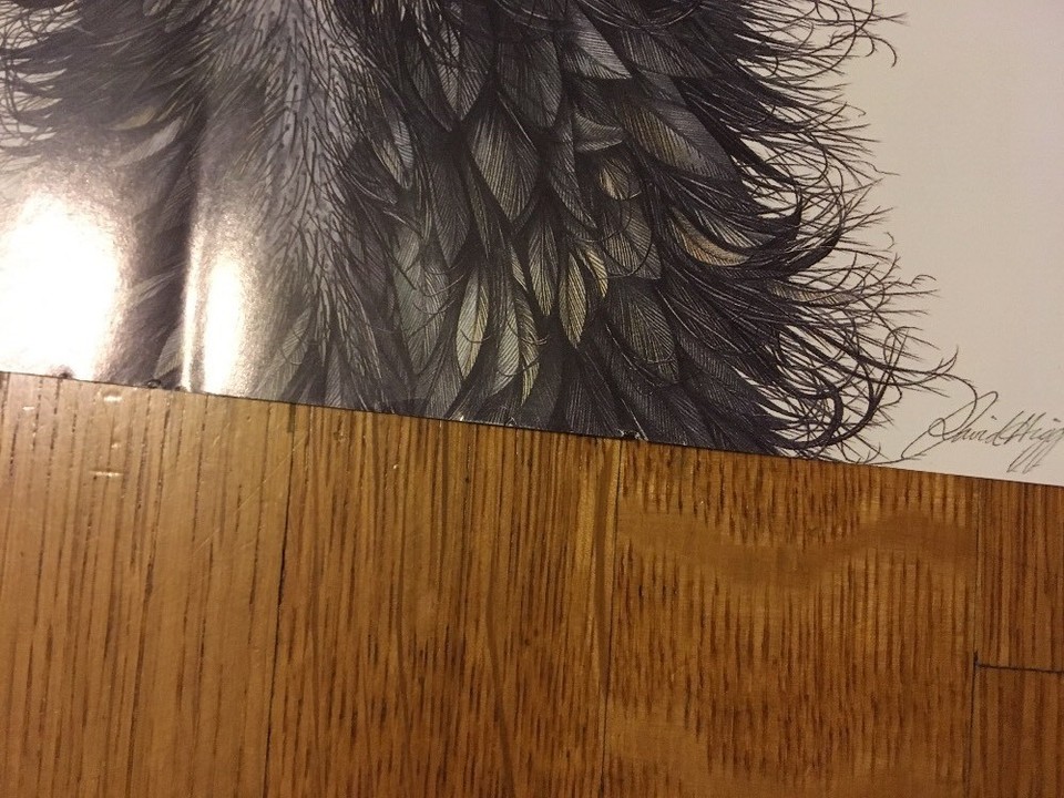 David Higgins Emu Illustration Art Poster 27x20 1985 Whimsical | eBay