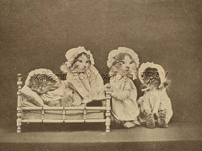 Cat Dressed Victorian Kittens in Nightshirts Snuggled in Bed, Cute 1915 ...