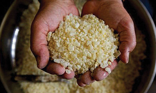 NATURAL CHIOS MASTIC BULK POWDER GUM 10g - 450g GREEK MASTIXA MASTICA ...