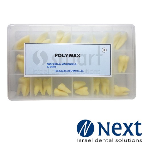 Dental Laboratory wax anatomical models 32 pcs teeth white student ...