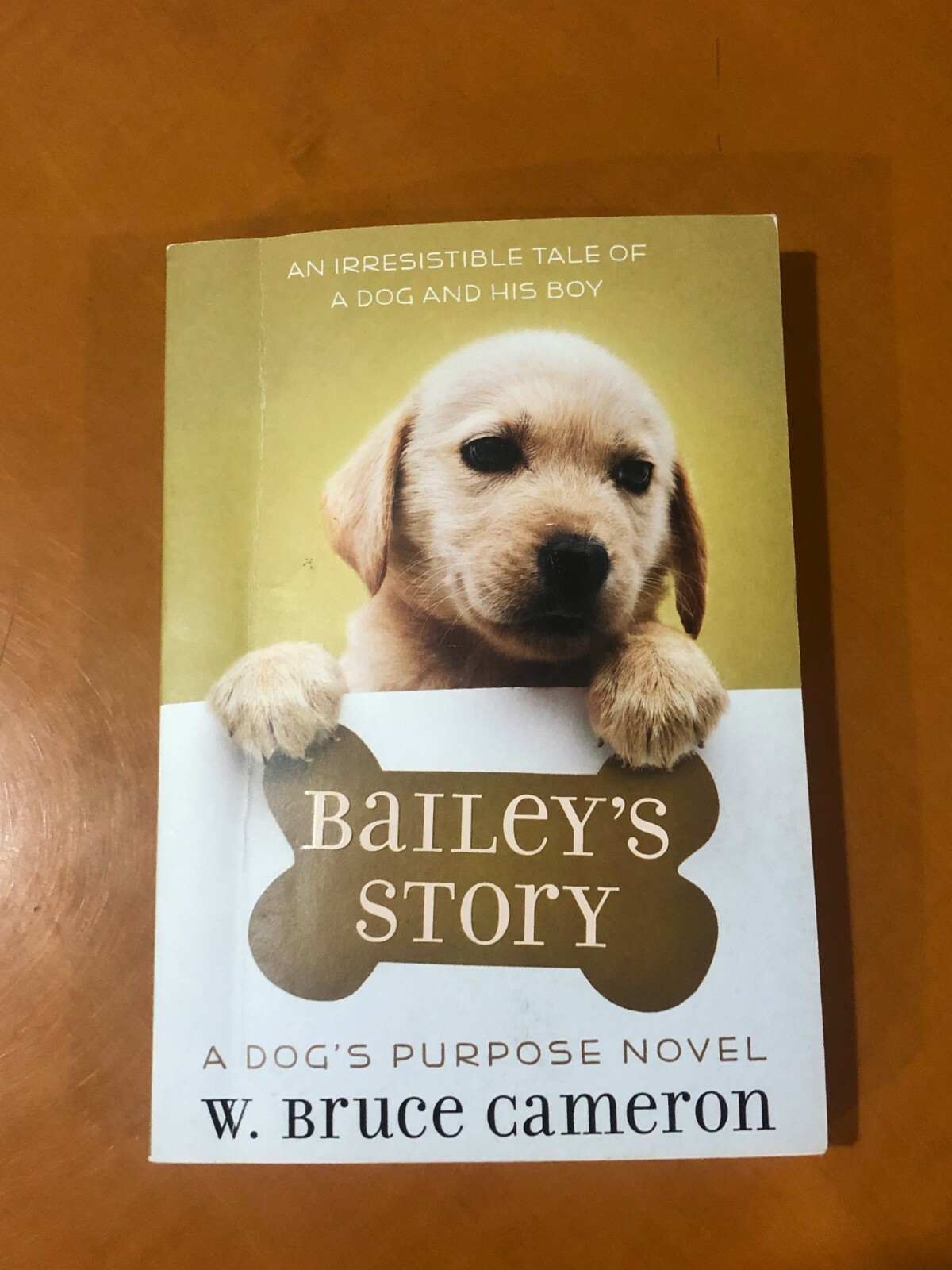 Baileys Story: A Dogs Purpose Novel By Bruce Cameron, First Scholastic ...