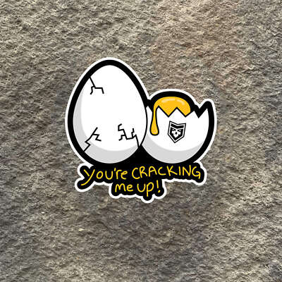 You're Cracking Me Up Vinyl Decal | eBay