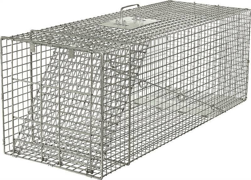 HAVAHART 1081 RACCOONS COON 43X15X15 SPRING DOOR LIVE ANIMAL TRAP CAGE ...