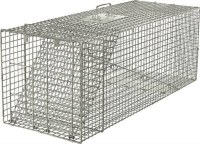 HAVAHART 1081 RACCOONS COON 43X15X15 SPRING DOOR LIVE ANIMAL TRAP CAGE ...