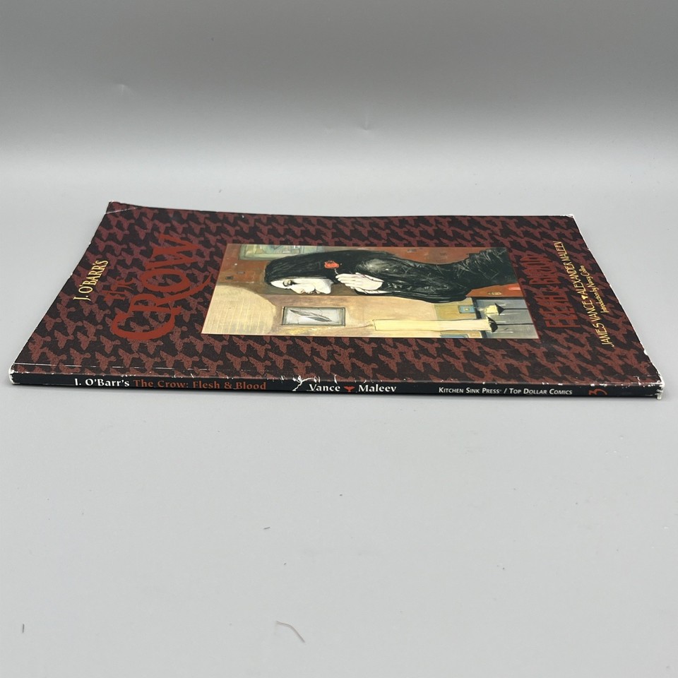 The Crow: Flesh & Blood By James Vance & Alexander Maleev Horror ...