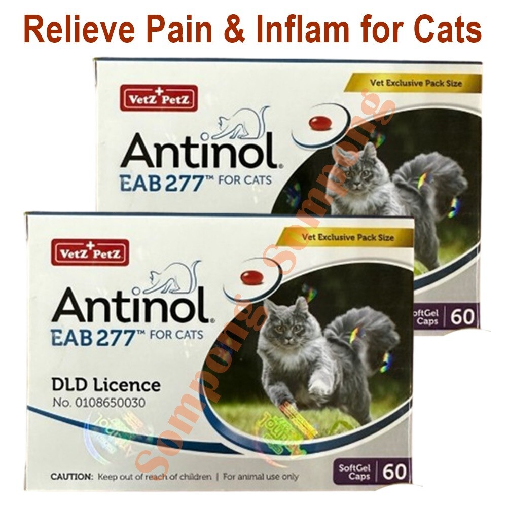 Cat Antinol EAB277 Vetz Petz Relief Pain Anti-Inflam Nourish Joint ...