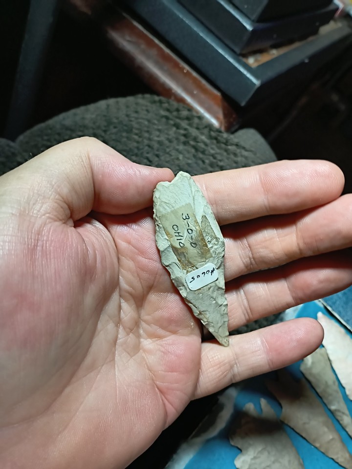 Authentic Ohio Paleo Wheeler Excurvate Point Indian Arrowhead Artifact ...