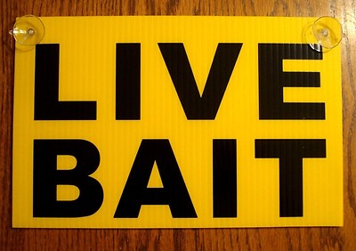 LIVE BAIT Coroplast SIGN with Suction Cups 8"x12" FREE SHIPPING! | eBay