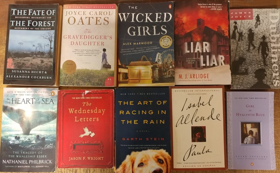 Lot of 100 Large Trade Literature Fiction Paperback BestSeller UNSORTED ...