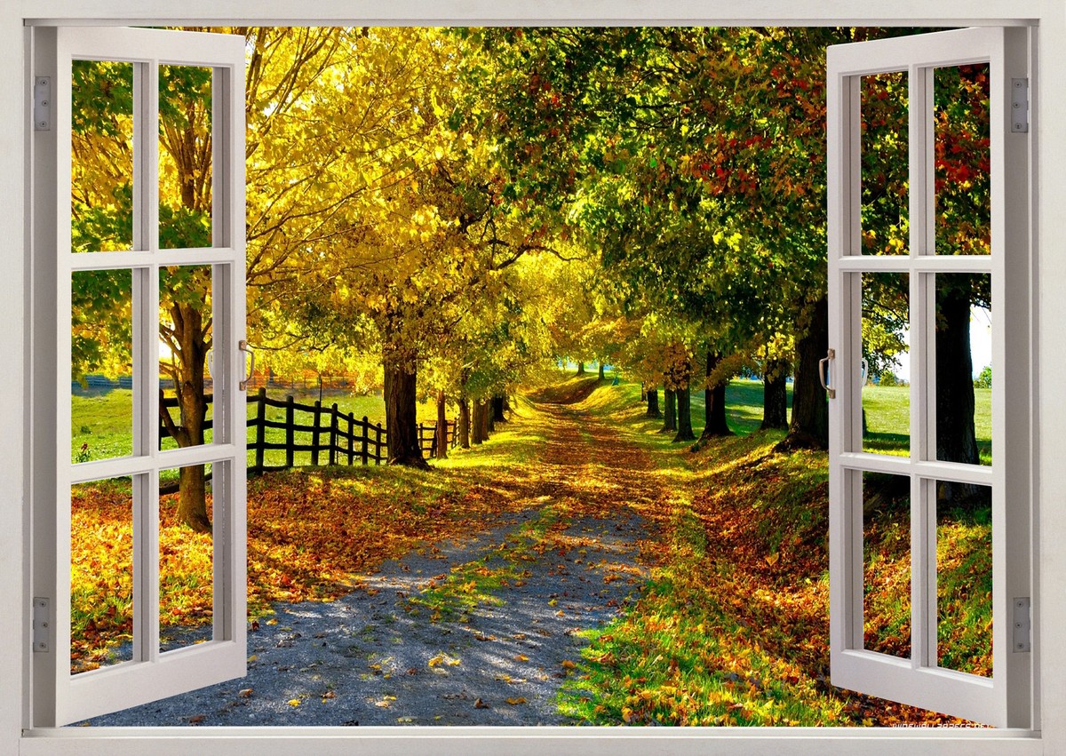 Wallpaper Murals Window Scenes Wall Murals Windows, Window Wallpaper