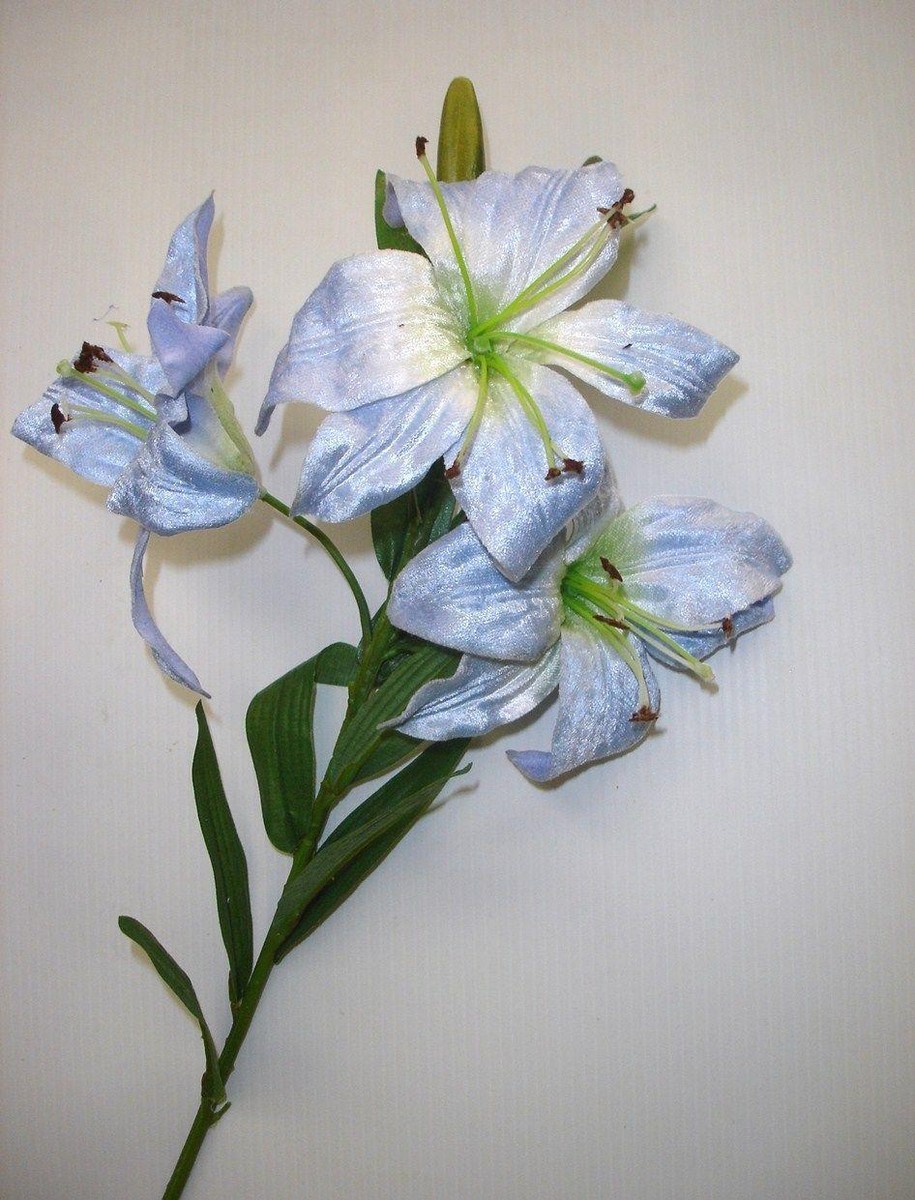 Blue Tiger Lily Blue Tiger Lily Flower Wrapped Canvas Giclee Print