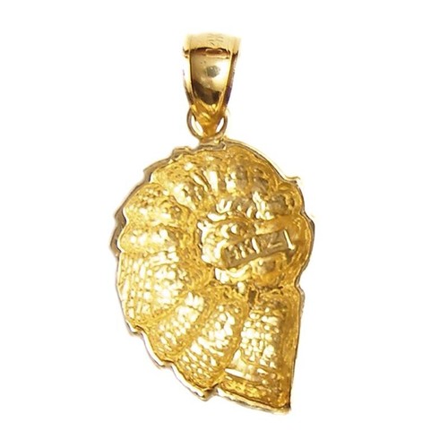 New 14k Gold Nautilus Shell Pendant | eBay