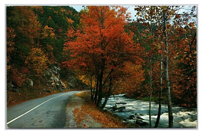 VTG 1950s- Fall Colors Along Little River - Smokey Mountains Postcard ...