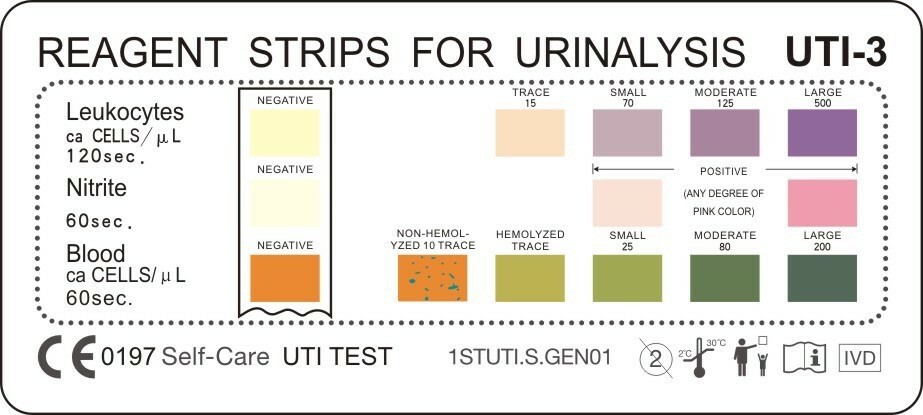 3x URINE INFECTION TEST UTI CYSTITIS BLADDER TESTS KIT FAST SAME DAY ...