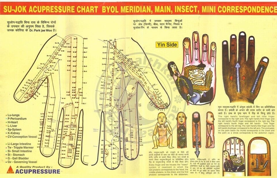 Acupressure Face, Reflex, Sujok Byol, Chakra, Ear Charts (Set of 5 ...
