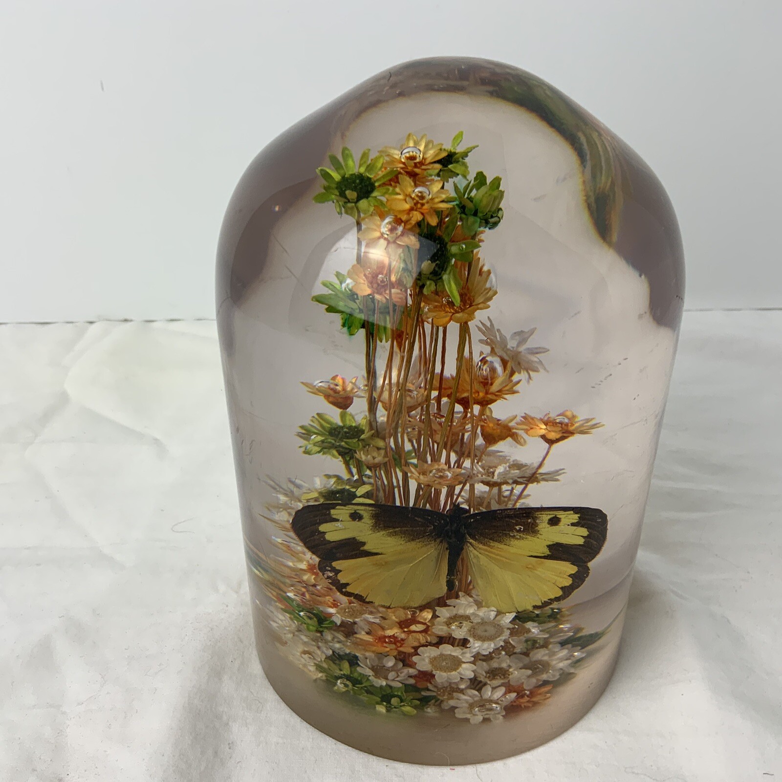 Lucite / Resin Encased Butterfly & Flowers Vintage Large Paperweight | eBay