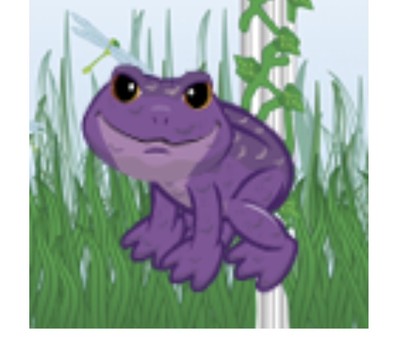 Webkinz Classic Lil Twisted Toad CODE | eBay