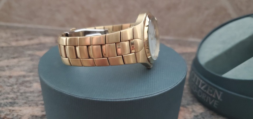 Citizen Eco-Drive Model E101 Watch | eBay