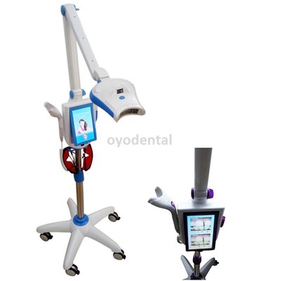 Professional Teeth Whitening Lamp Dental LED Whitening Light Machine ...