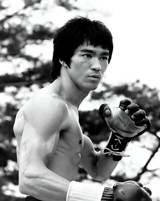 Bruce Lee 8 x 10 Picture Print Photograph Photo a923 | eBay