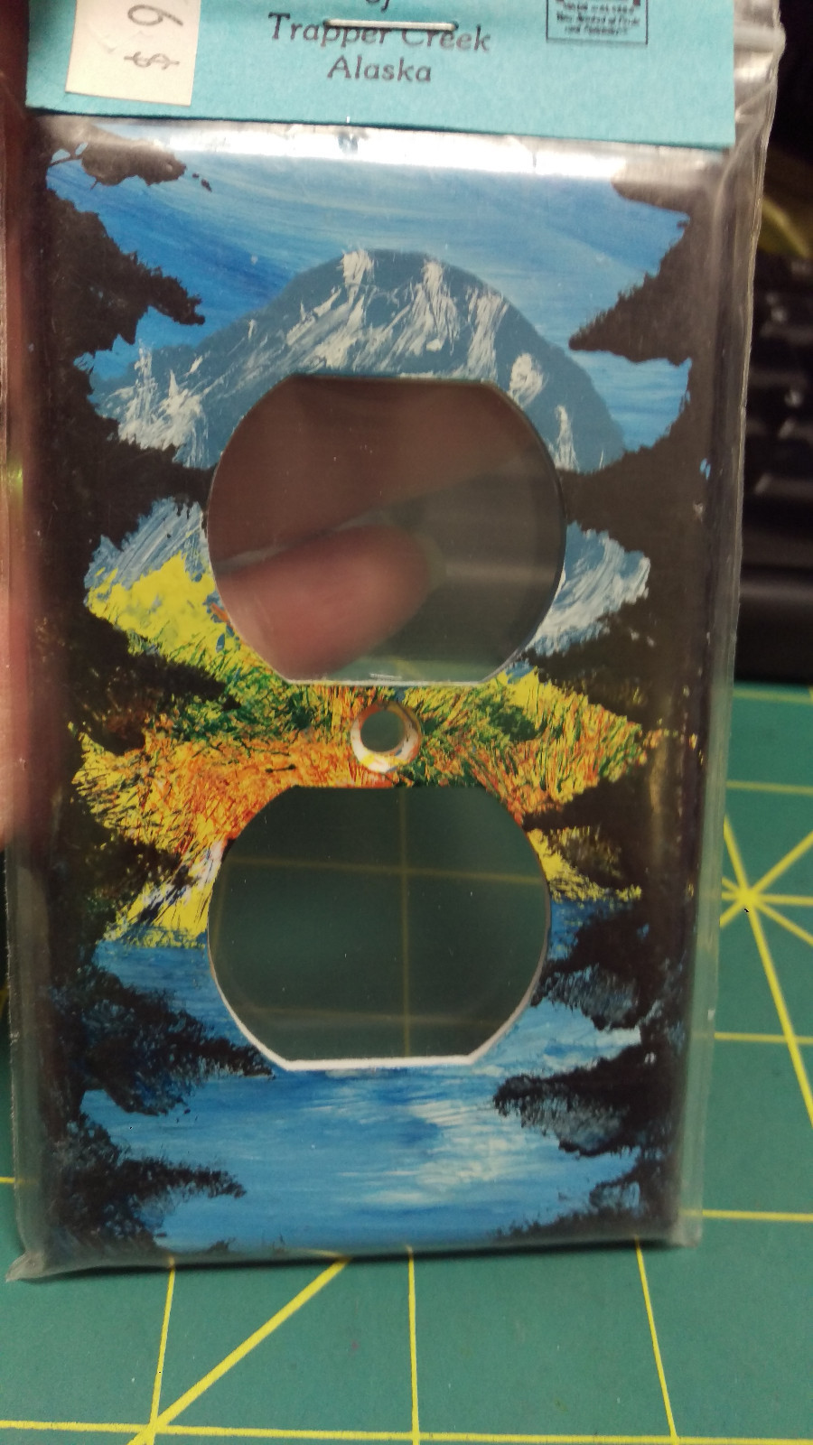 NEW Hand Painted Alaska outlet cover, Beautiful scene hand painted in ...