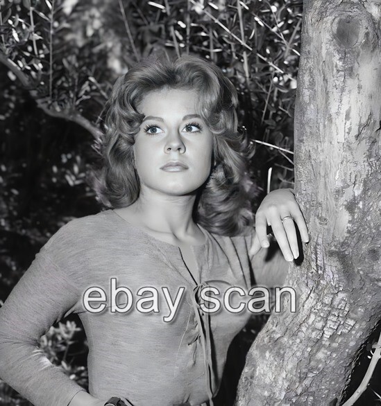 STAR TREK SHERRY JACKSON BRUNETTE BOMBSHELL BUSTY IN KNIT TOP 8X10 ...