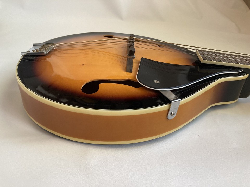 Rogue Fine Instruments RM-100A A-Style Mandolin Sunburst EUC | eBay