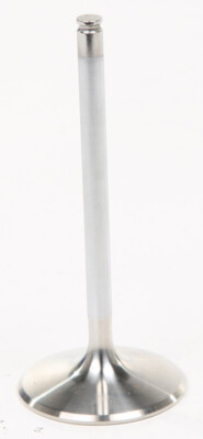 Xceldyne X2 Single Intake Valve X2SIVM13001 | eBay