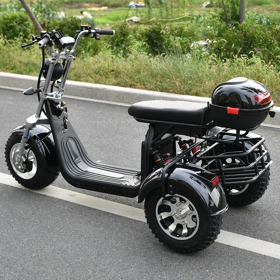 3000W Fat Tire Three Wheel Electric Scooter Off-Road Trike Commuter E ...