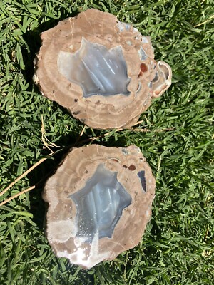 Baker Egg Agate Nodules (New Mexico) , Fluorescent Under UV Light | eBay